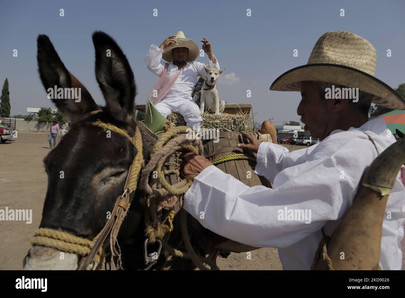 A donkey and two people dressed as tlachiqueros (mead extractors and ...