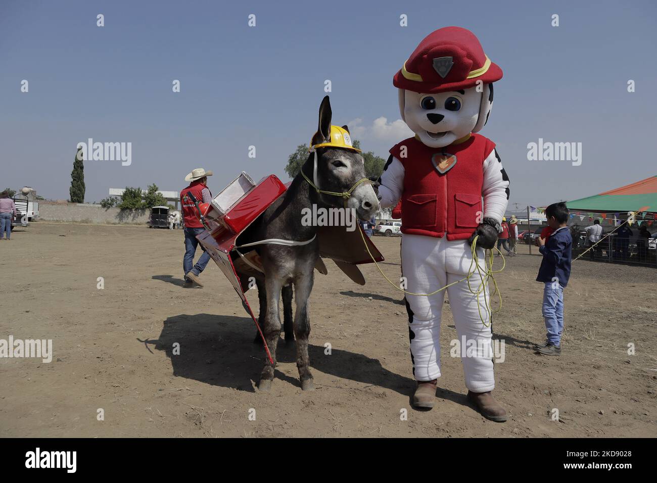 A donkey disguised as a fireman during the Donkey Fair on the occasion ...