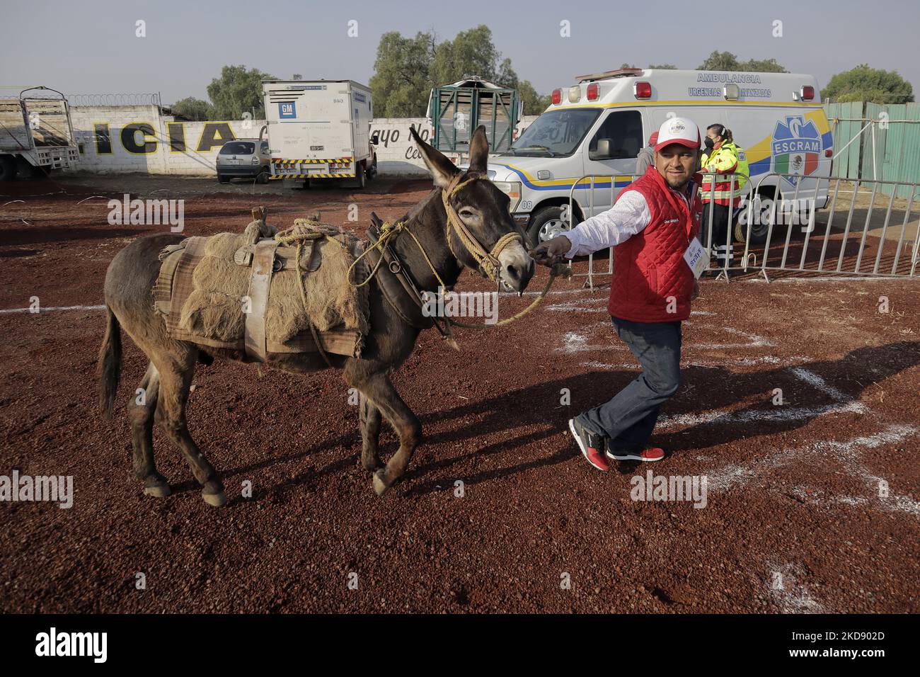 A person carries a donkey during the Donkey Fair on the occasion of ...