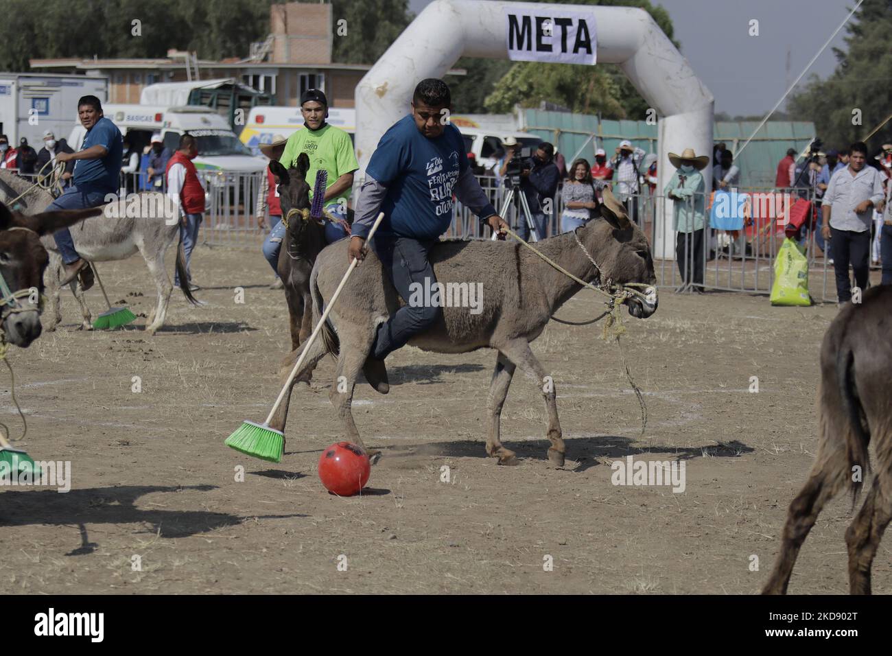 Donkey races hi-res stock photography and images - Alamy