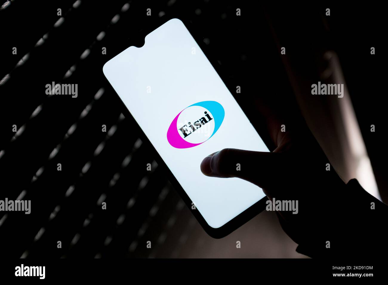 In this photo illustration an Eisai logo seen displayed on a smartphone ...