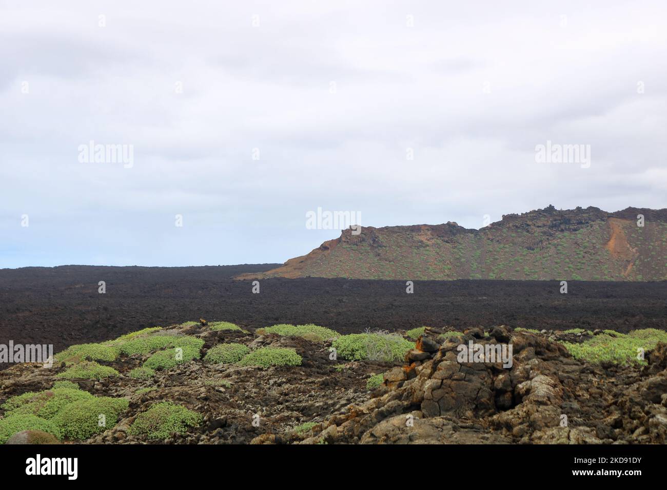 the vulcanic landscape with vulcanos and craters on lanzarote, canary ...