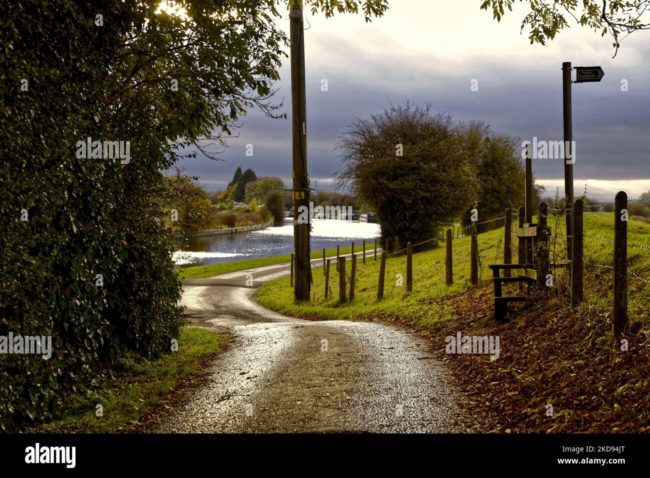 A pathway in a park with trees and grass under cloudy sky in a rainy ...
