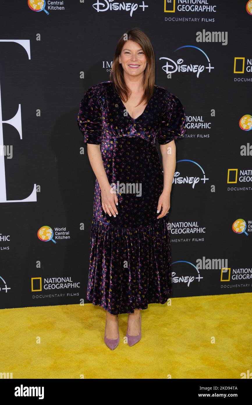 NEW YORK, NEW YORK - MAY 03: Gayle Simmons attend National Geographic ...