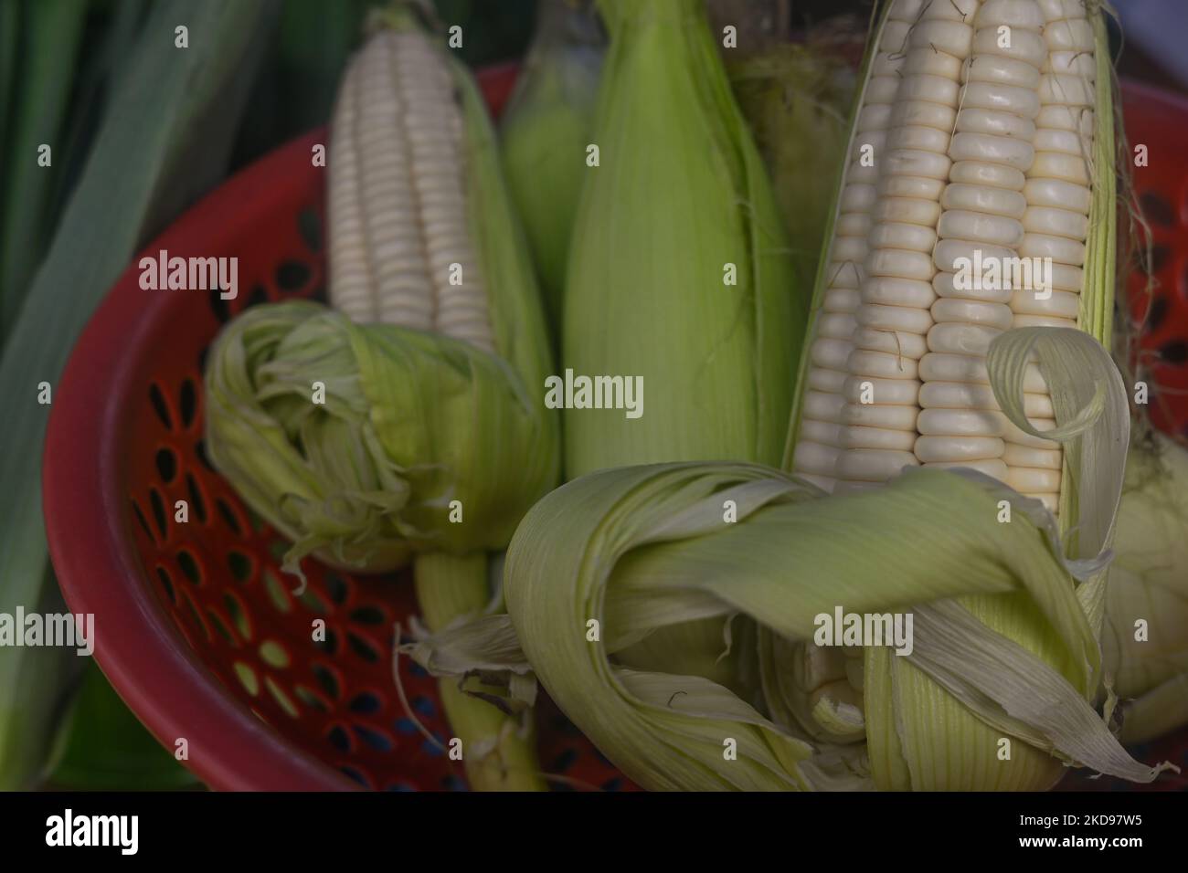 Peruvian corn for sale at the local market in Lima center. On Saturday ...