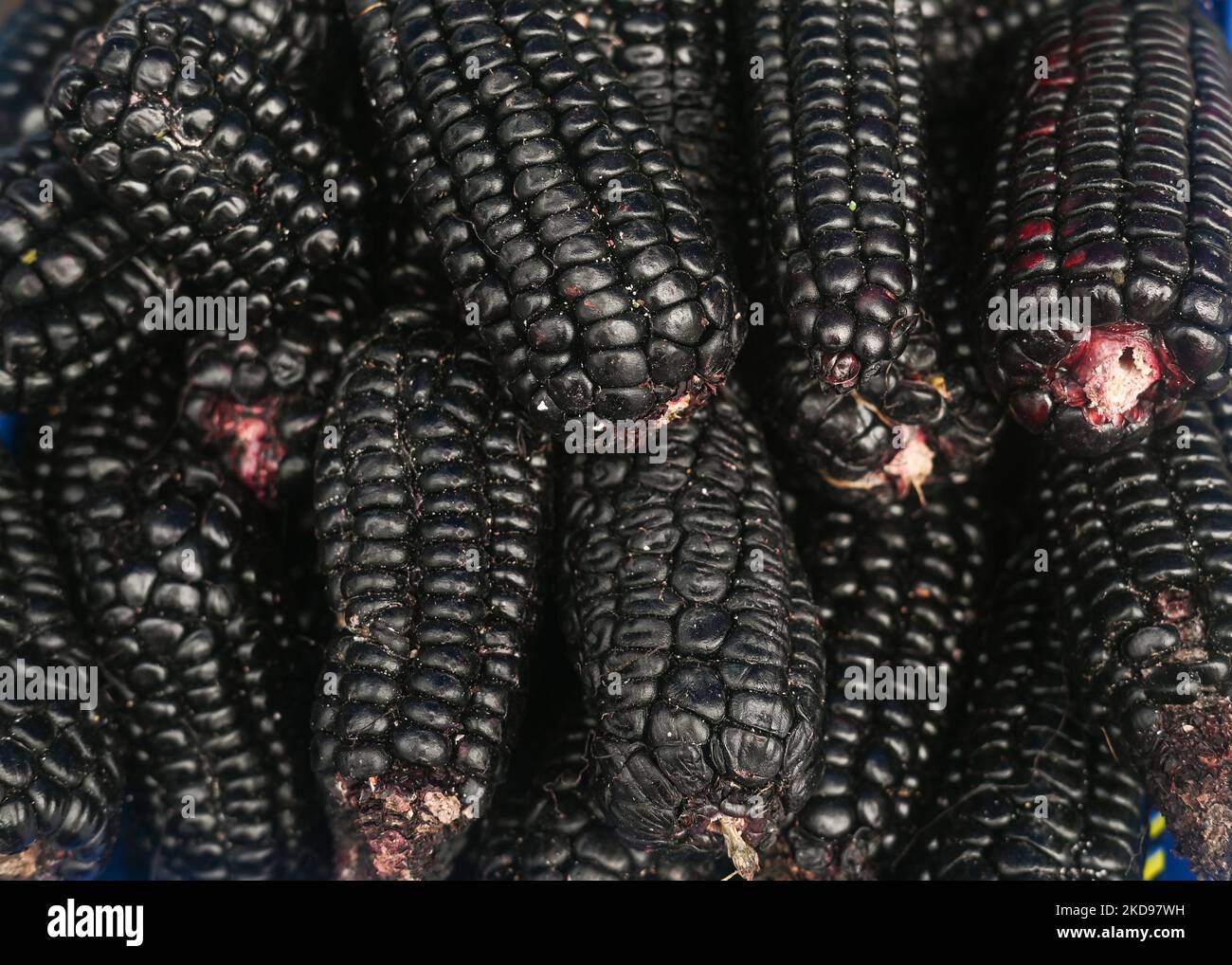 Maíz morado perú hi-res stock photography and images - Alamy