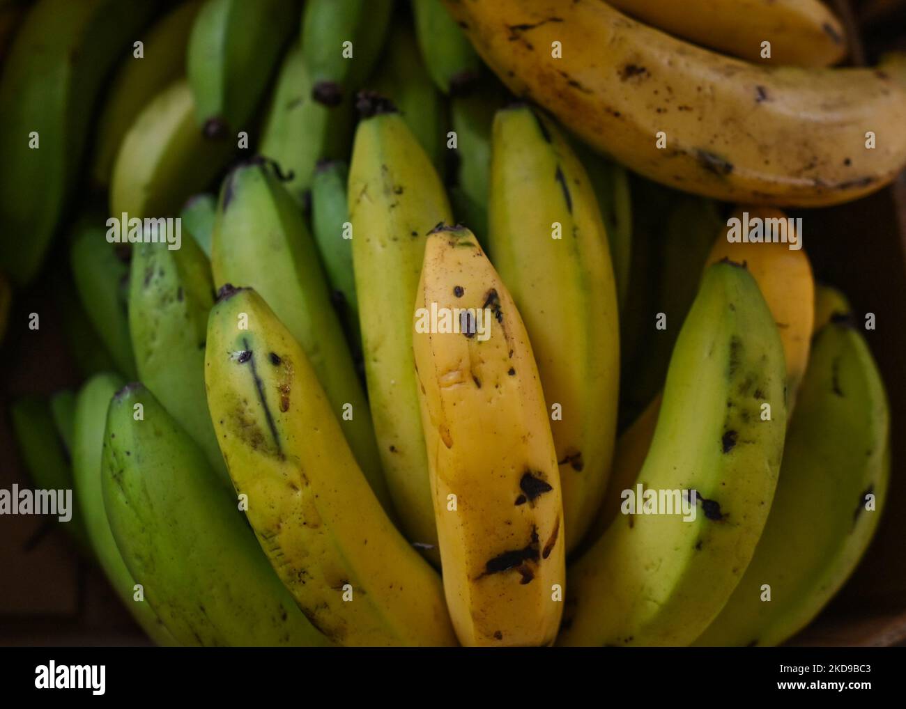 Bananas for sale at the local market in Aguas Calientes. On Wednesday ...