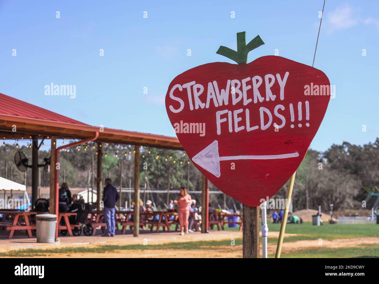 A red strawberry sign showing the direction of the field in the ...