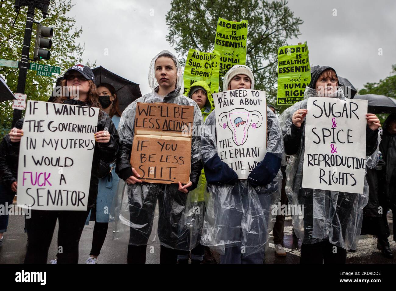 Preliminary organization hi-res stock photography and images - Alamy