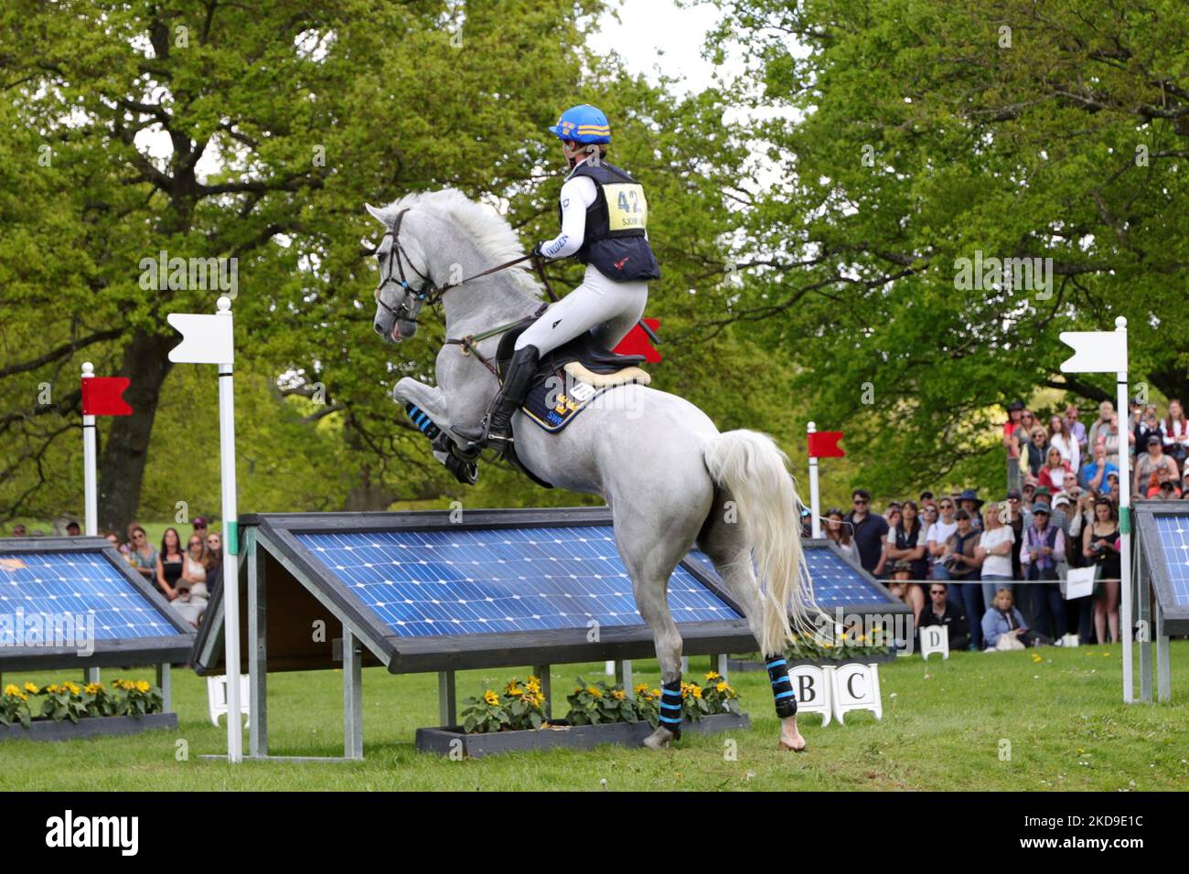 Sofia Sjoberg riding DHI Mighty Dwight during the Cross Country Event at Badminton Horse Trials ...