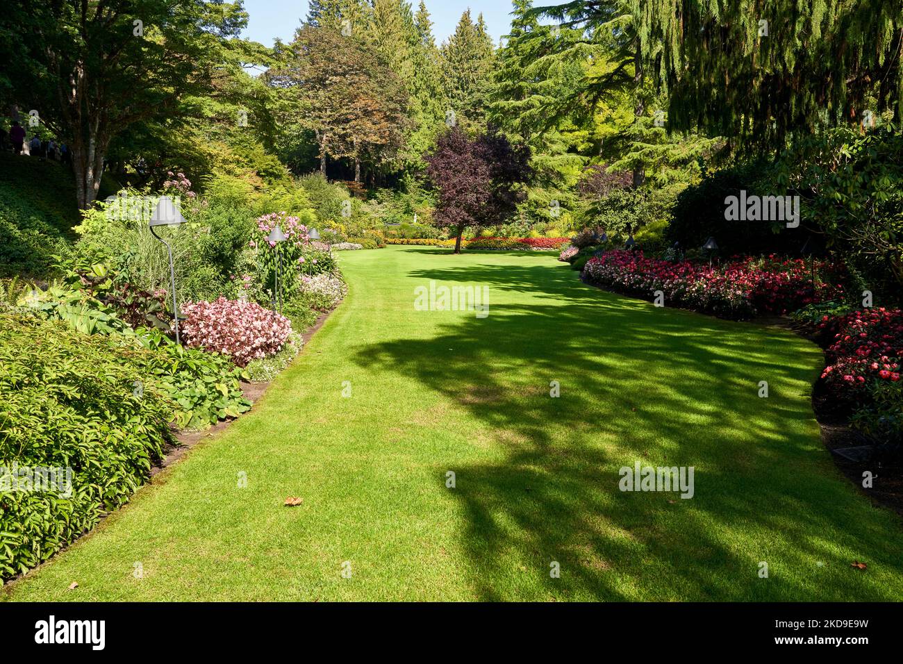 Famous former limestone quarry hi-res stock photography and images - Alamy