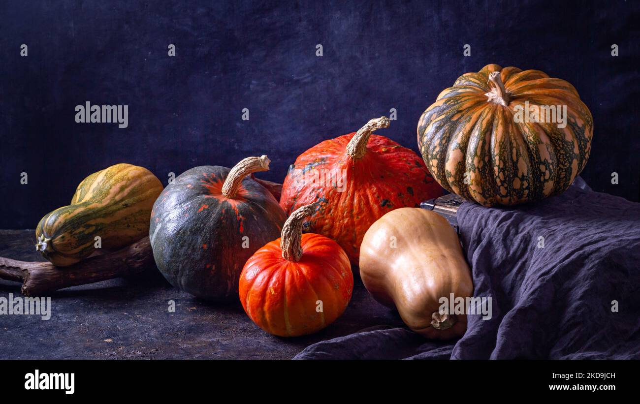 Variety of pumpkins - autumn agricultural still life with cucurbita ...