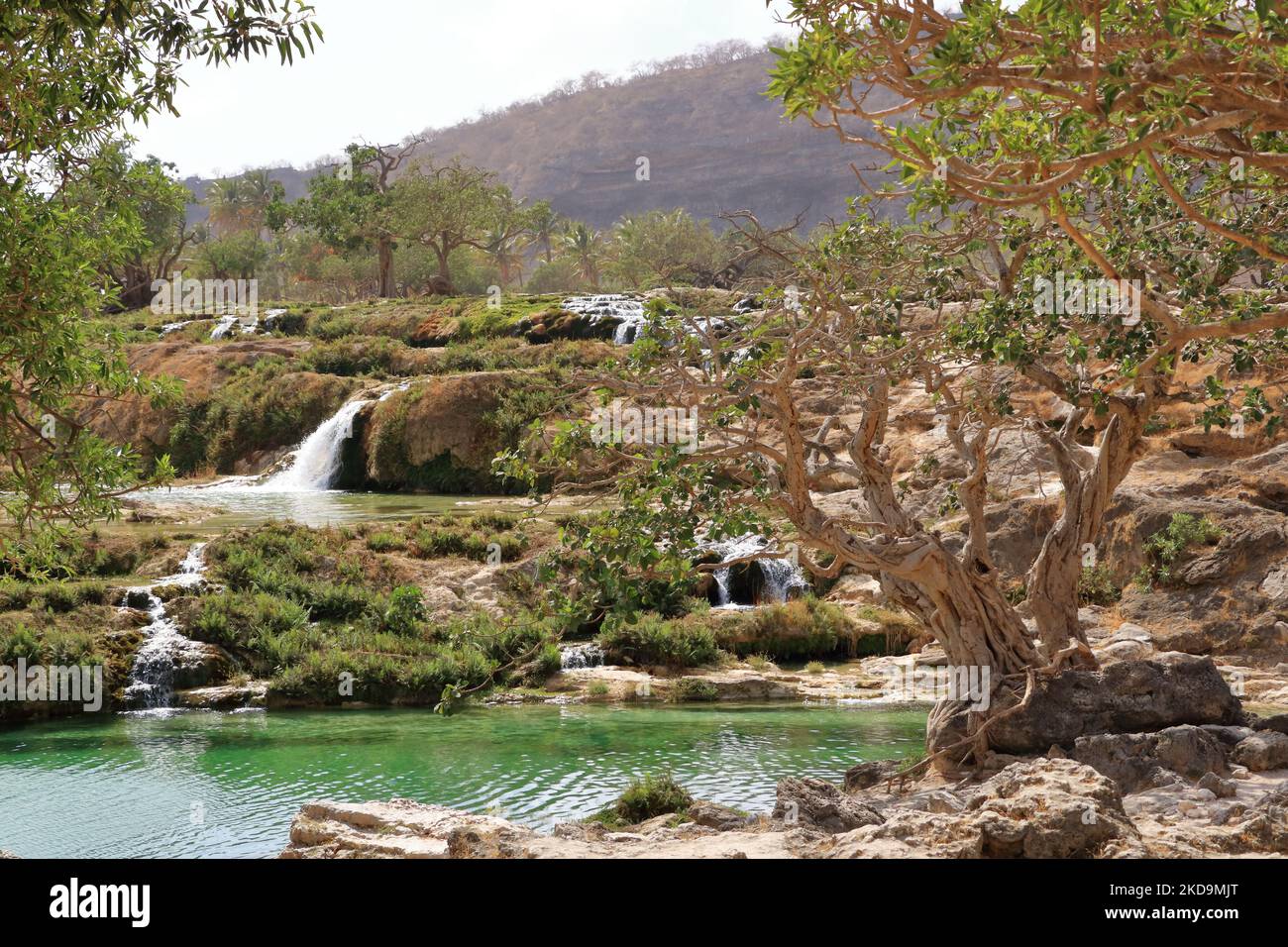 Darbat waterfalls, Salalah, Oman Stock Photo - Alamy