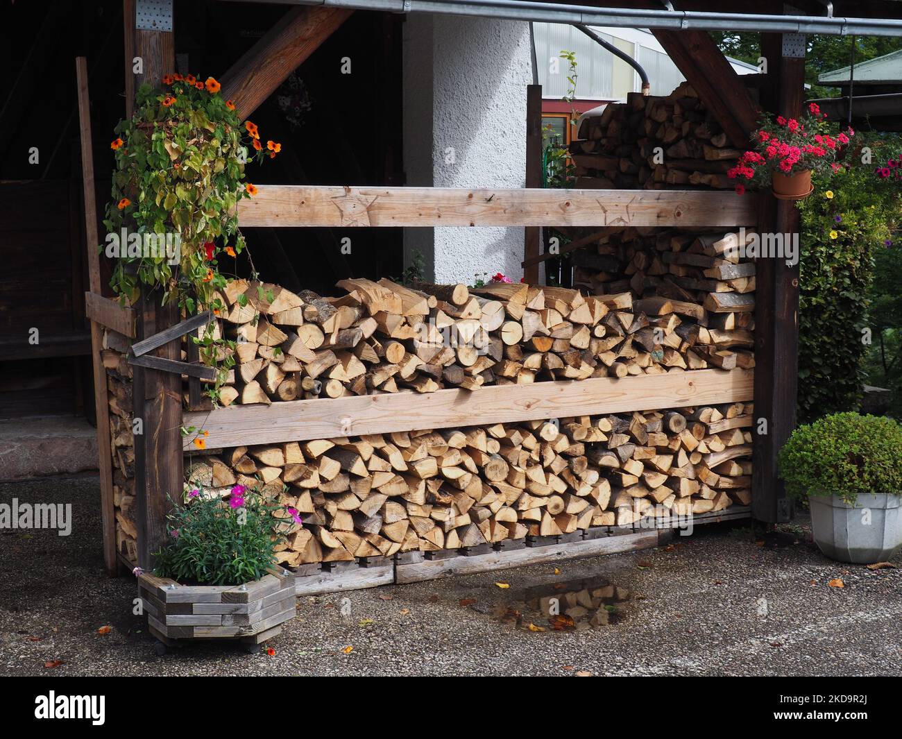 A stack of firewood in front of a house entrance with flower pots ...