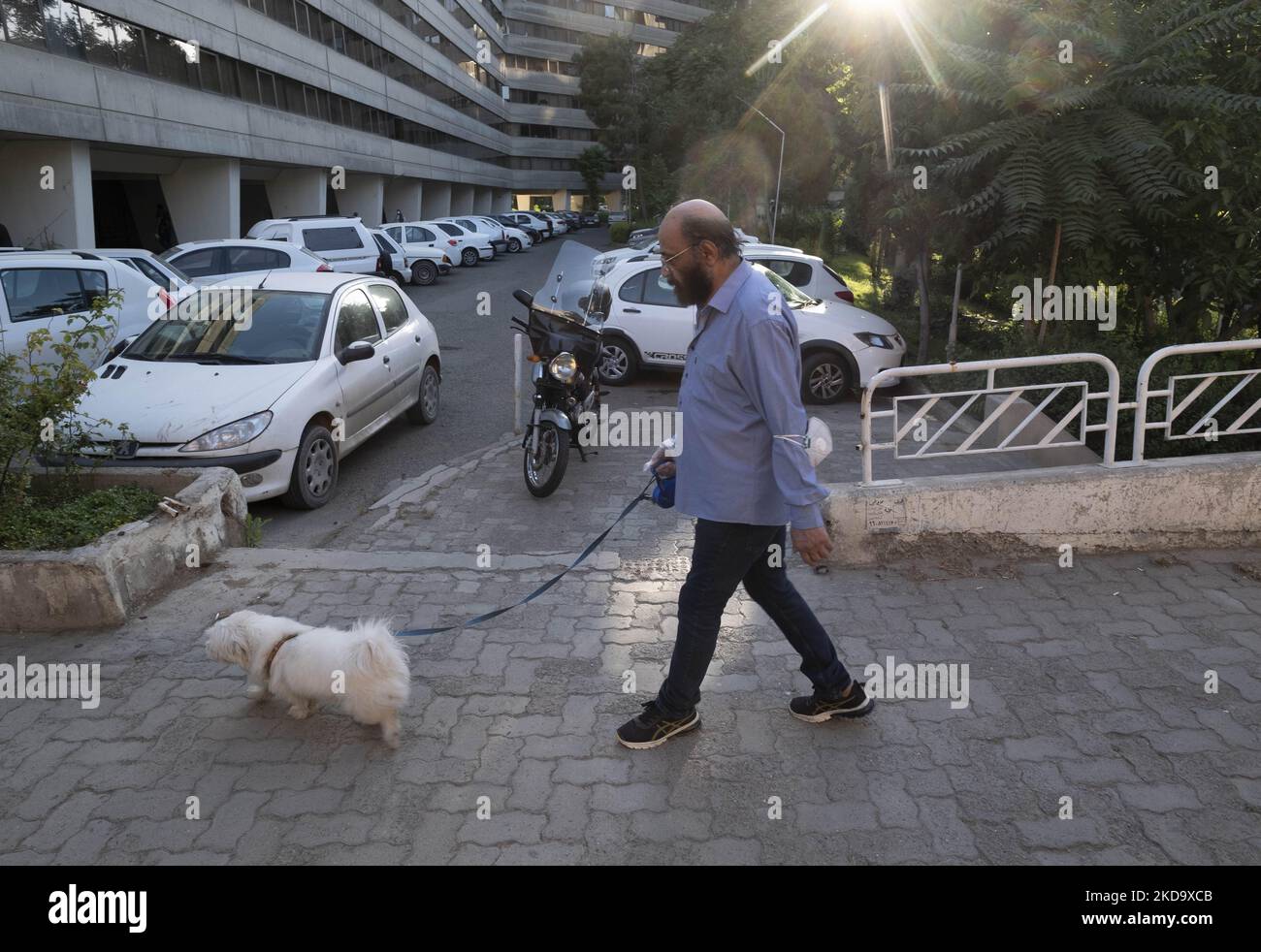 An Iranian man walks with his pet along an area near a housing complex ...