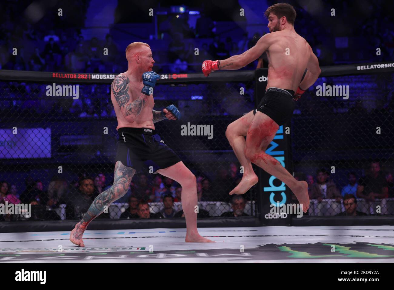 Alfie Davis knees Tim Wilde during the Bellator 281: MVP vs. Storley ...