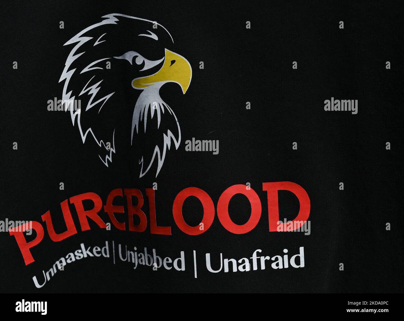 Pureblood logo hi-res stock photography and images - Alamy