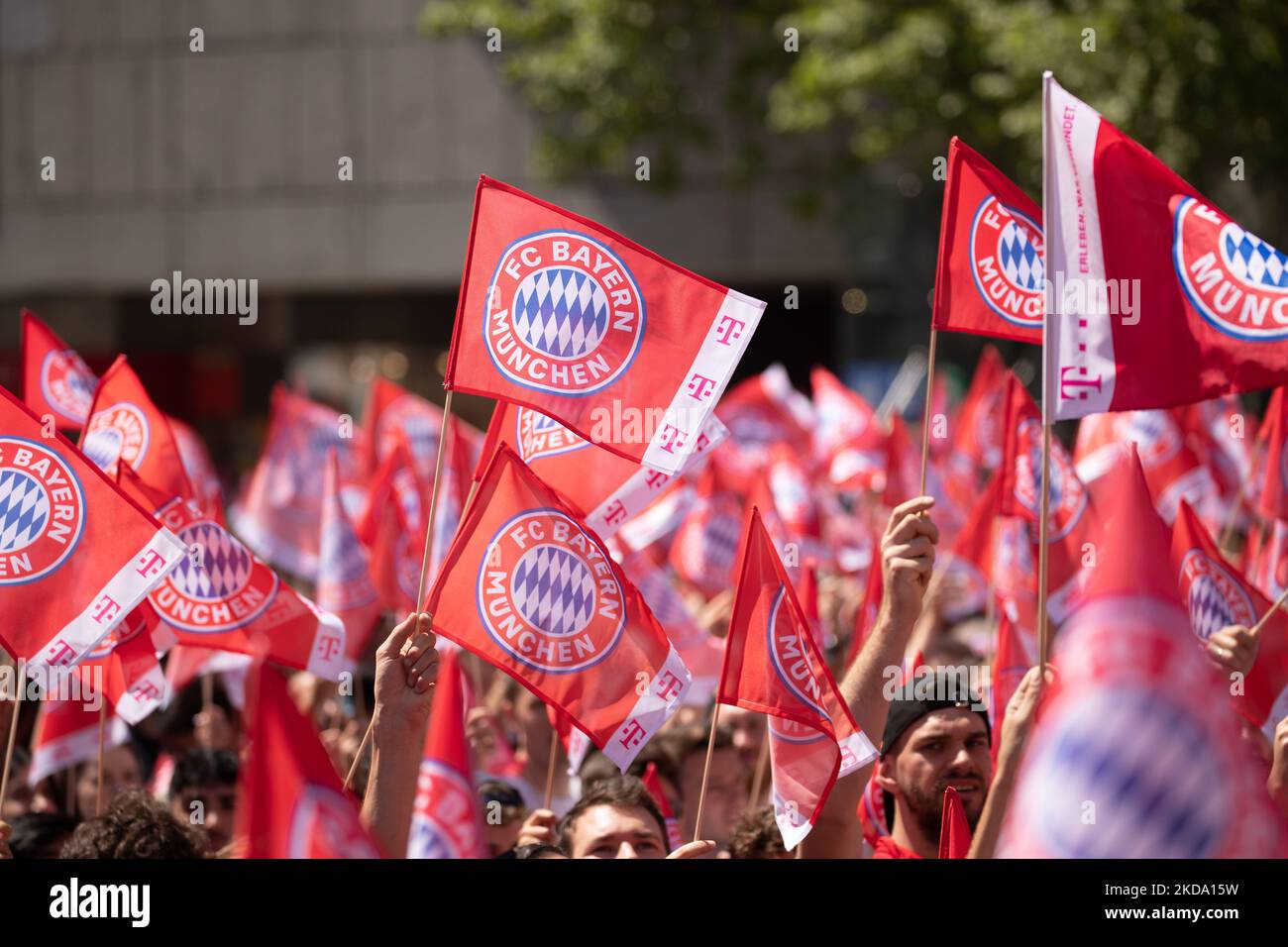 Fc bayern muenchen celebrates winning the bundesliga hi-res stock ...