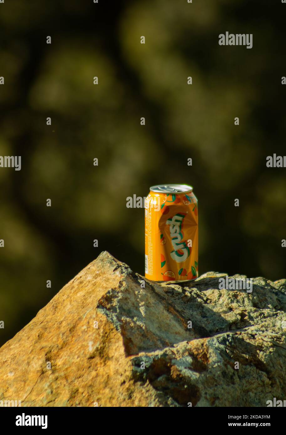 A vertical shot of a broken Crush soda can on a rock in the forest ...