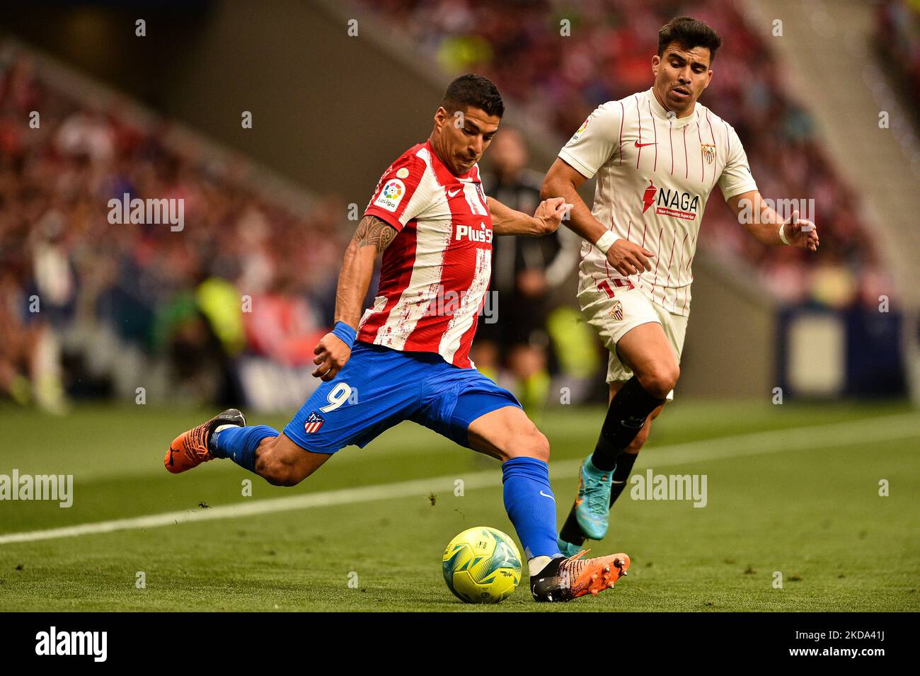 Luis Suarez and Marcos Acuna during La Liga match between Atletico de ...