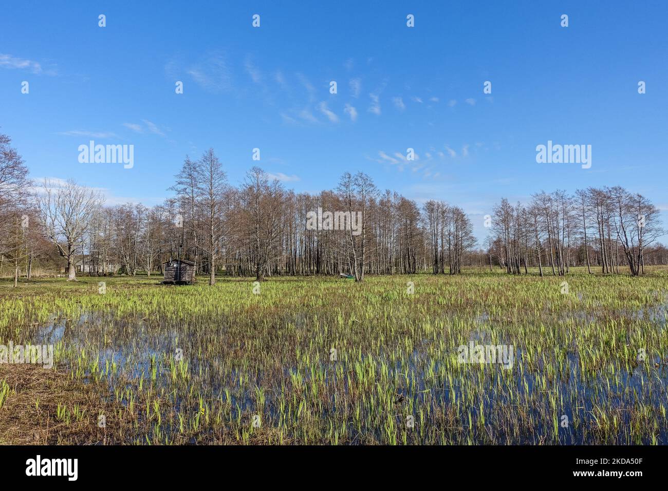 General view of the Engure lake Natural Park is seen in Tukums district ...