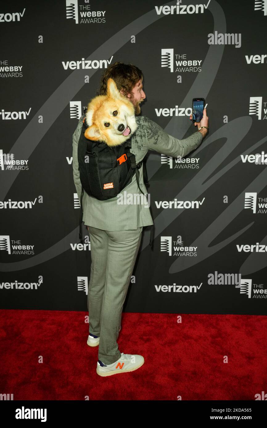 Maxine the fluffy corgi hi-res stock photography and images - Alamy