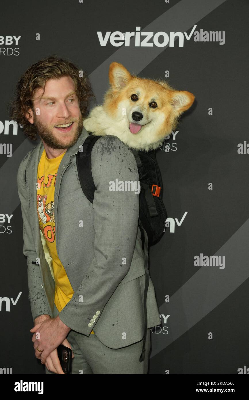 NEW YORK, NEW YORK - MAY 16: Maxine the Fluffy Corgi, Bryan Reisberg ...