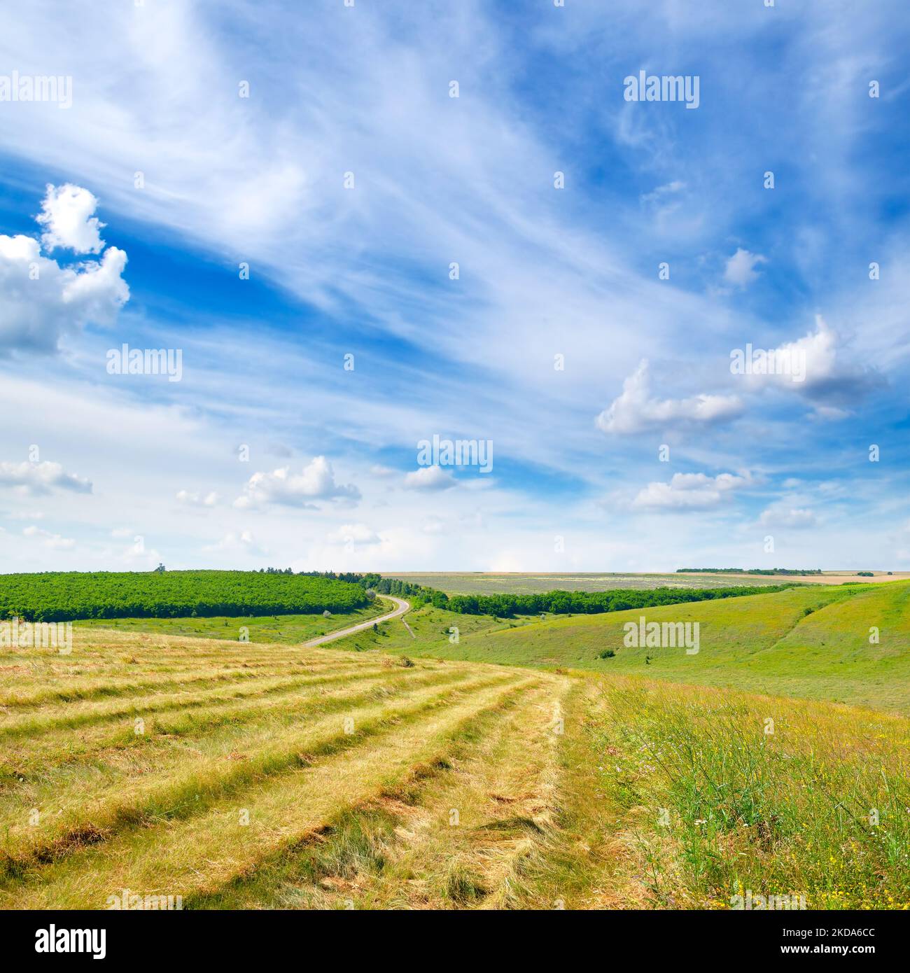 Large rural field fresh grass hi-res stock photography and images - Alamy