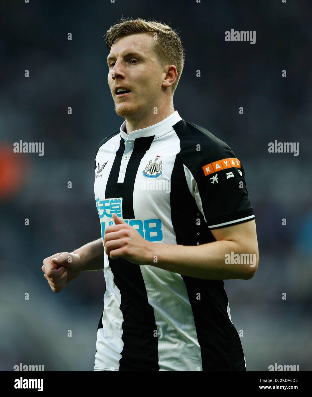 Matt targett newcastle united hi-res stock photography and images - Alamy