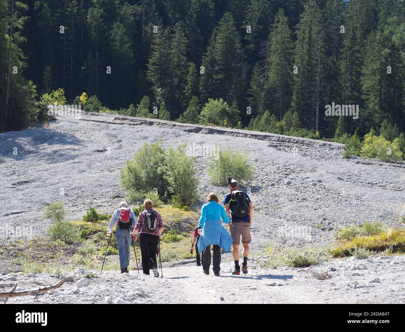A group of hiking tourists with backpacks in sunny forest in Bavaria ...