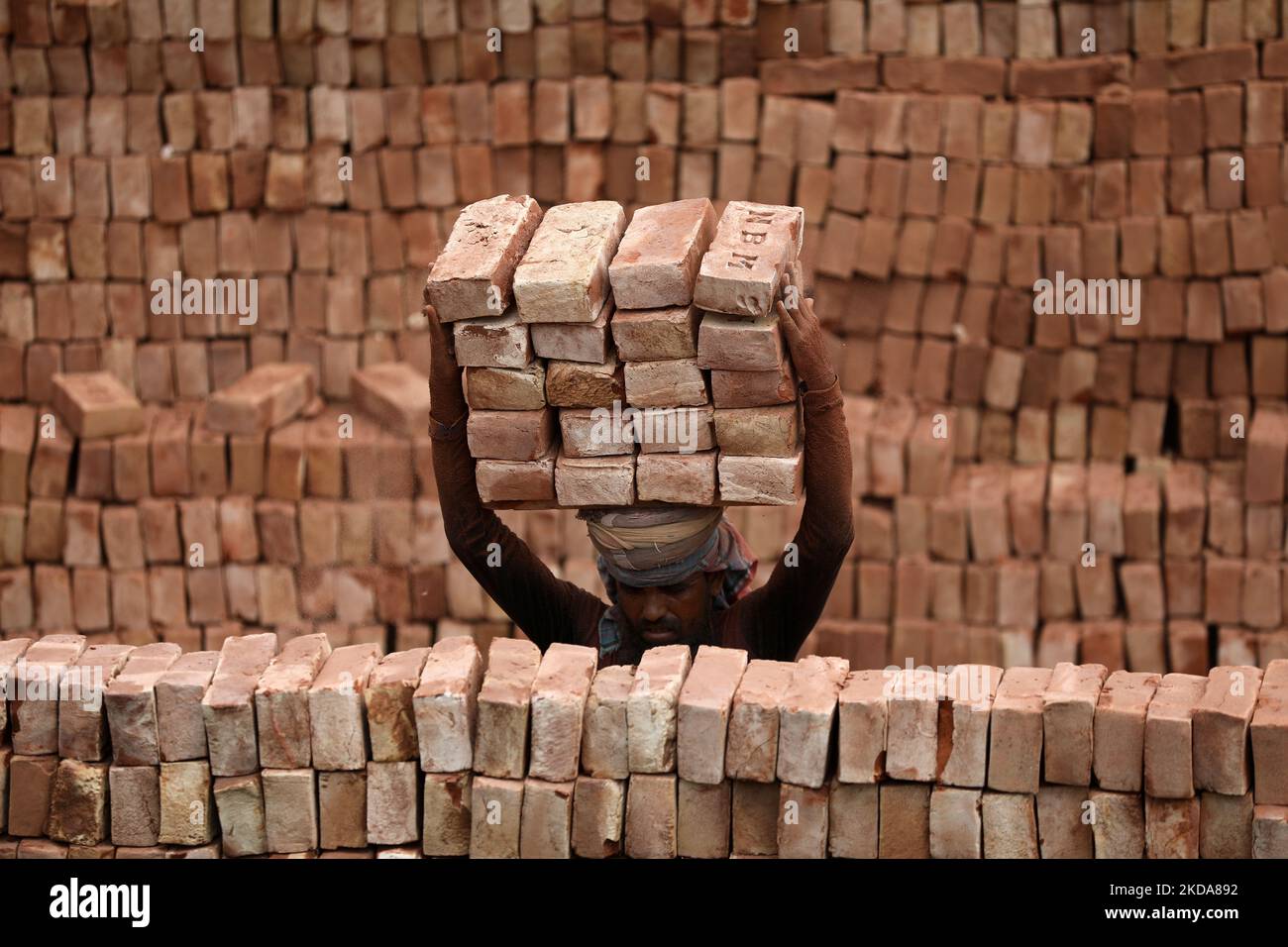 A Laborer unloads bricks from a cargo ship at the Kamrangirchar area in ...