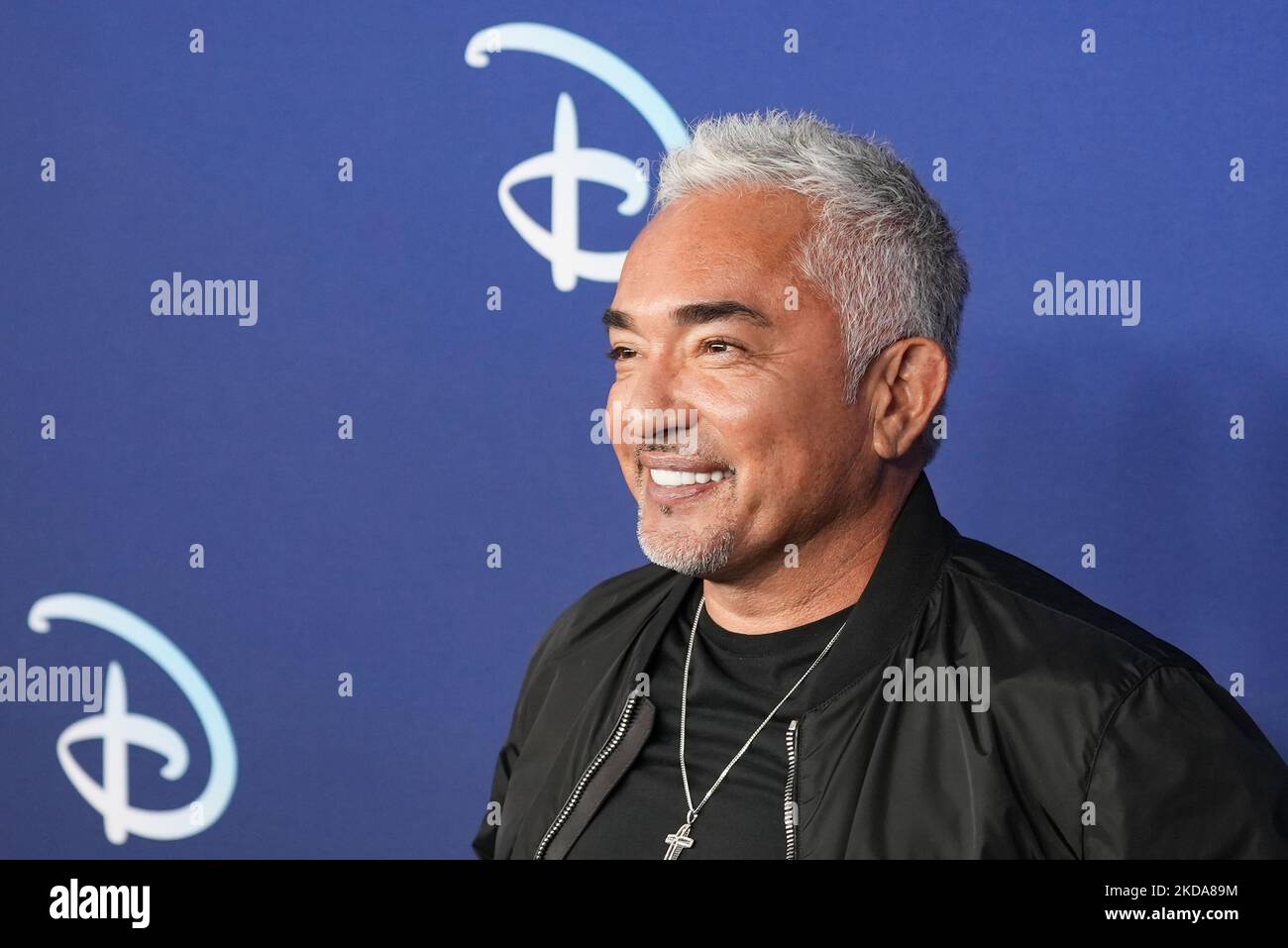 NEW YORK, NEW YORK - MAY 17: Cesar Milan attends the 2022 ABC Disney ...