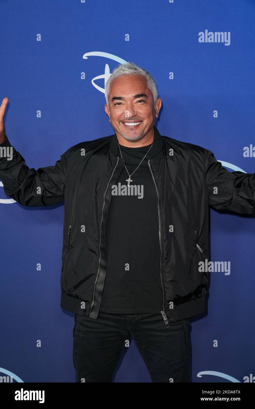 NEW YORK, NEW YORK - MAY 17: Cesar Milan attends the 2022 ABC Disney ...