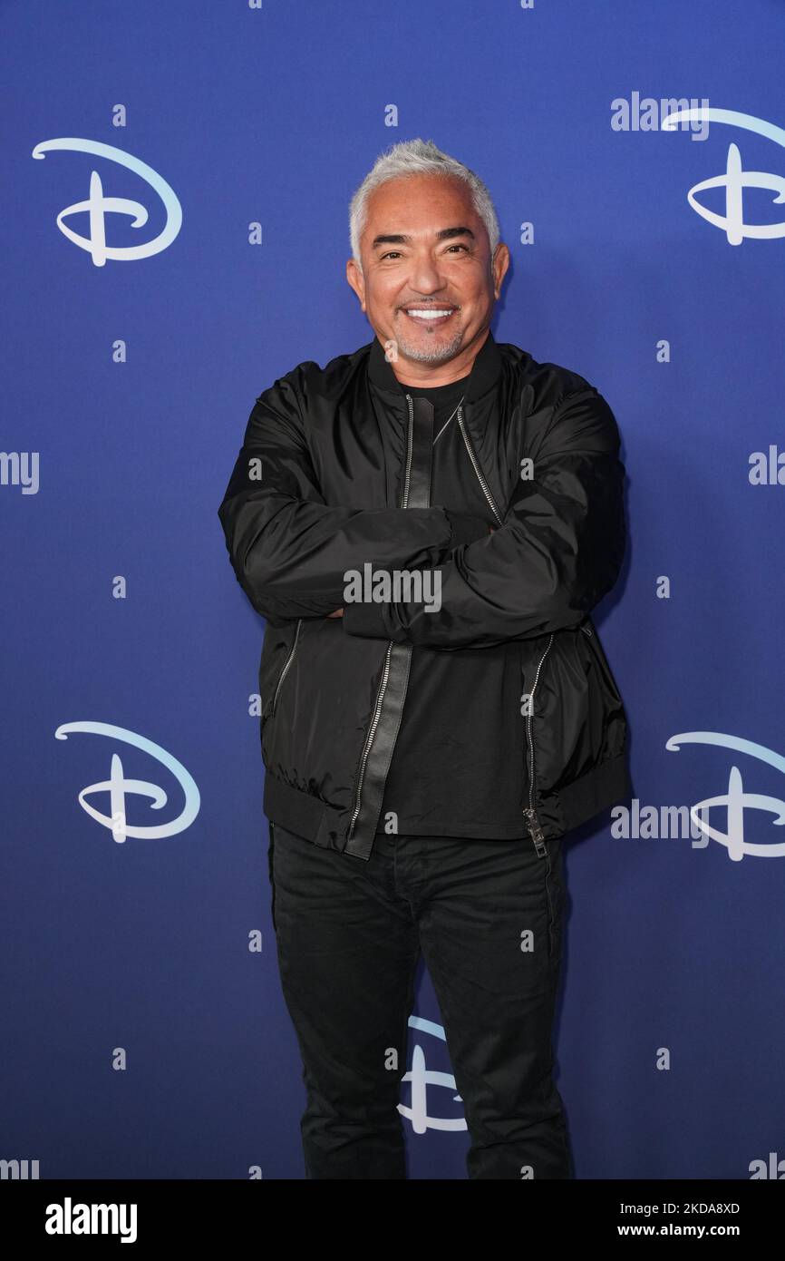 NEW YORK, NEW YORK - MAY 17: Cesar Milan attends the 2022 ABC Disney ...