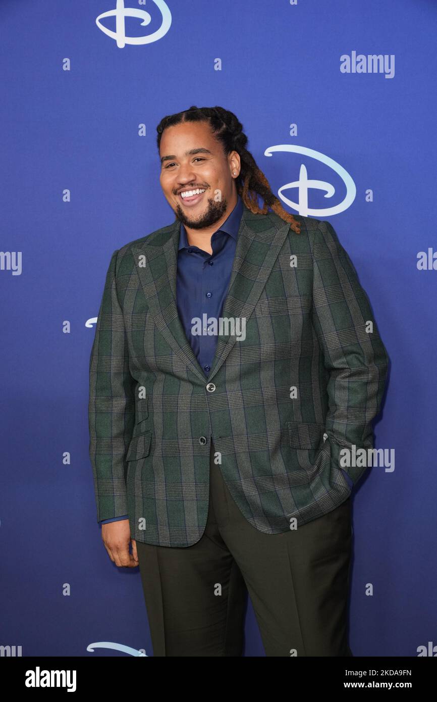 NEW YORK, NEW YORK - MAY 17: Lou Wilson attends the 2022 ABC Disney ...