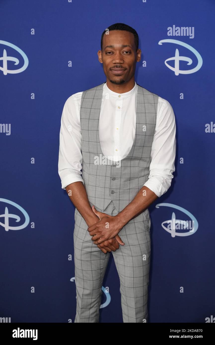 White Collar Hooligan 3 (2022)