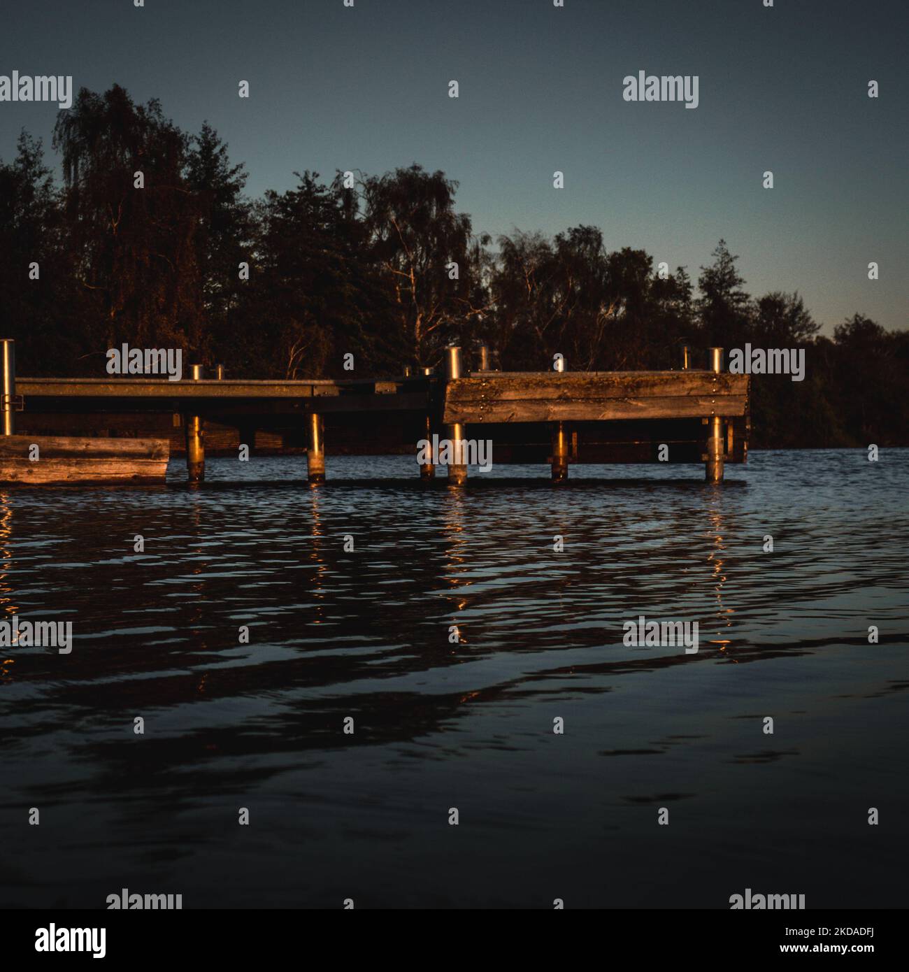 A wooden dock over water surrounded by dense trees Stock Photo - Alamy