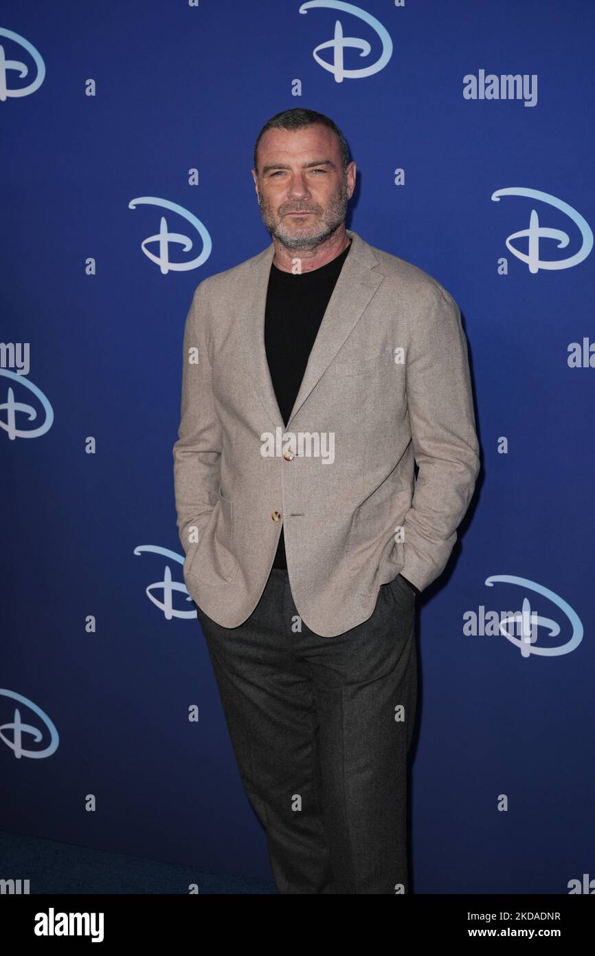 NEW YORK, NEW YORK - MAY 17: Liev Schreiber attends the 2022 ABC Disney ...
