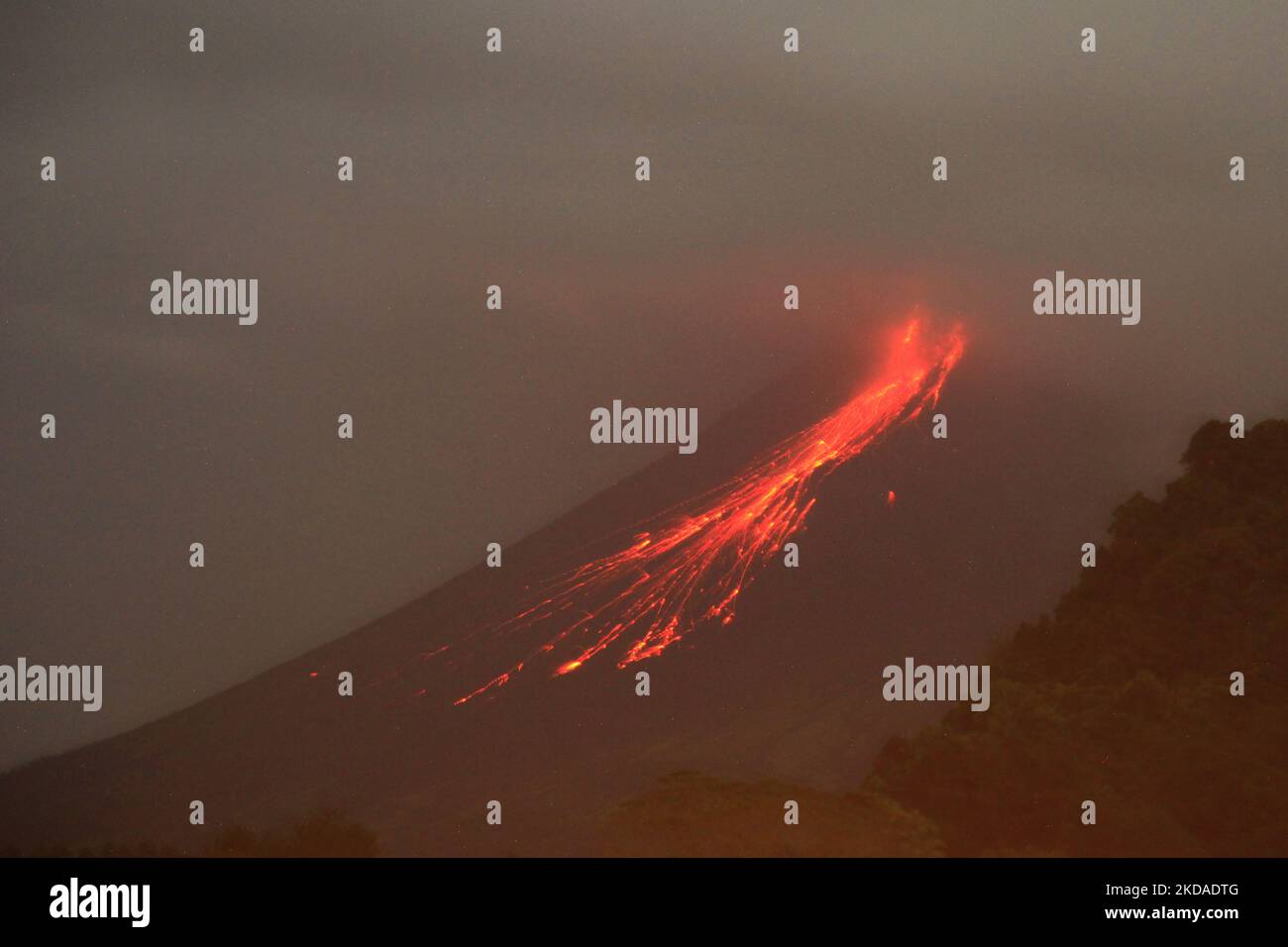 Lava spews from the peak of Merapi volcano during its effusive ...