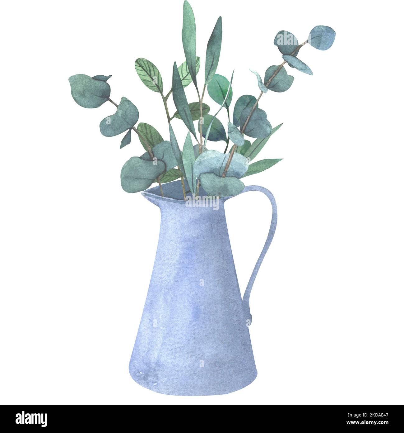 Watercolor bouquet of Eucalyptus in a Vase. Hand drawn botanical ...
