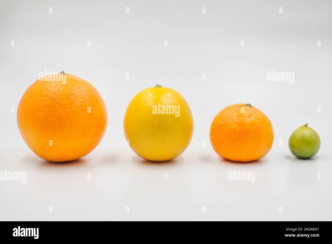 The citrus fruits isolated on white background Stock Photo - Alamy