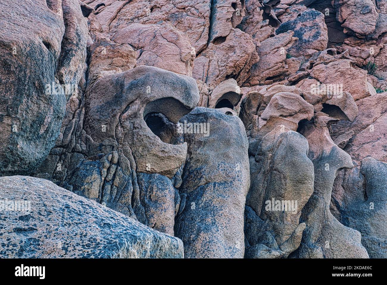 Formations animal hi-res stock photography and images - Alamy