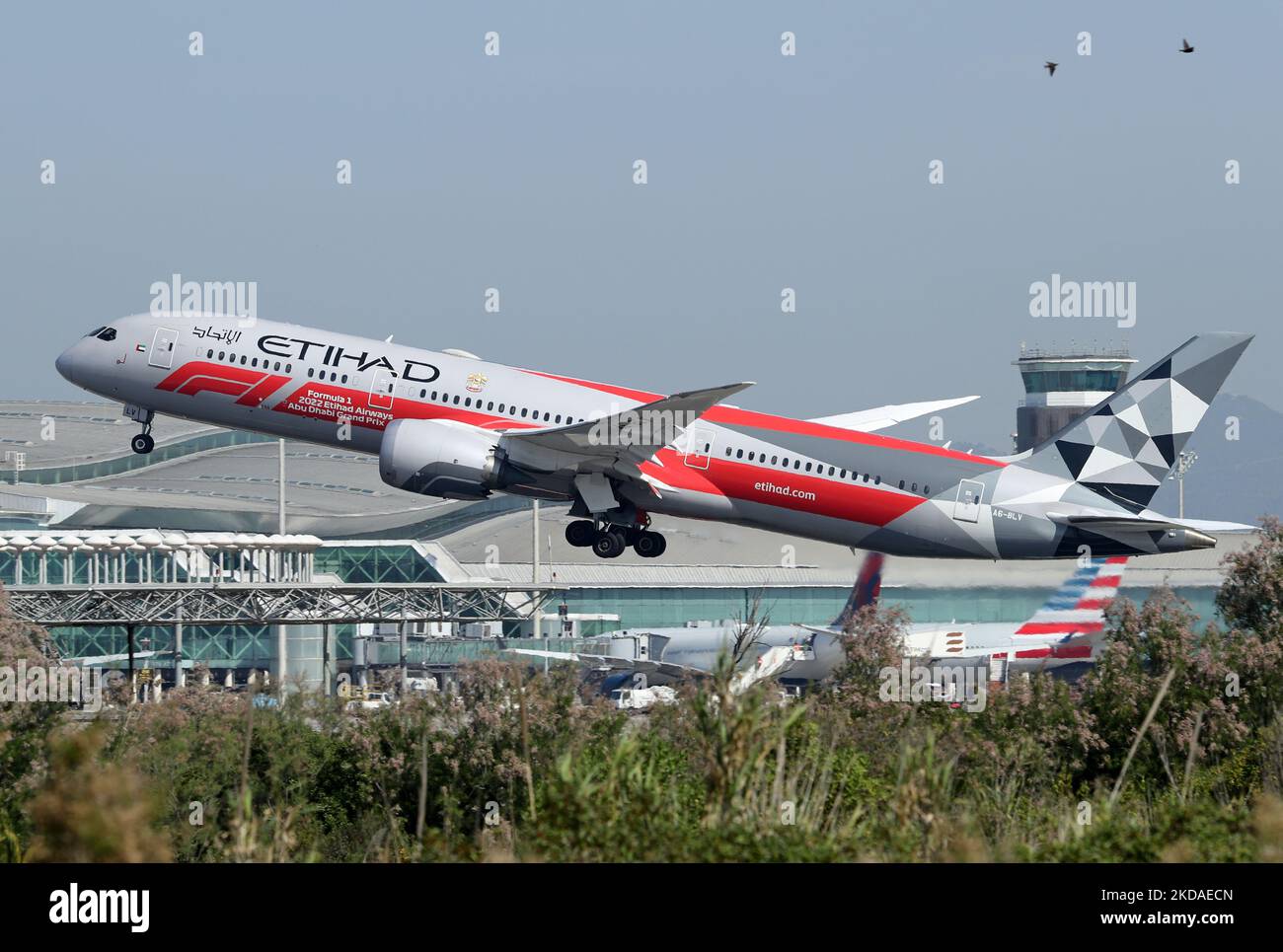 Boeing 787-9 Dreamliner, from Etihad Airways (Abu Dhabi Grand Prix ...