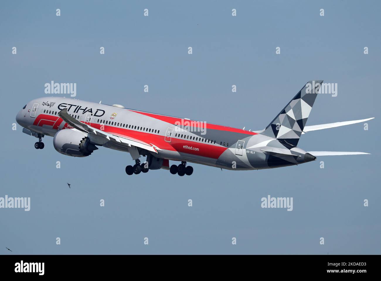 Boeing 787-9 Dreamliner, from Etihad Airways (Abu Dhabi Grand Prix ...