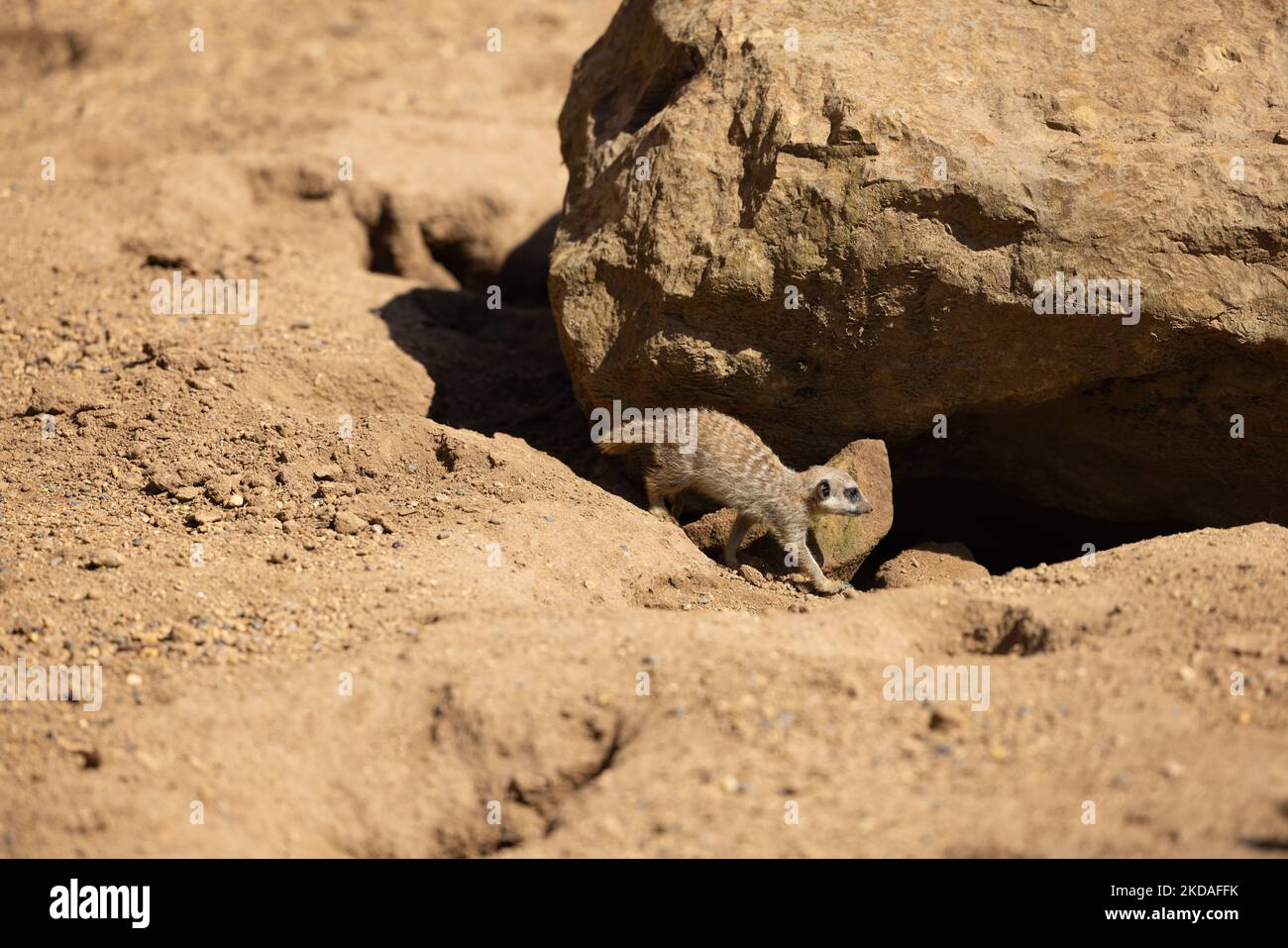 Stone hopping hi-res stock photography and images - Alamy