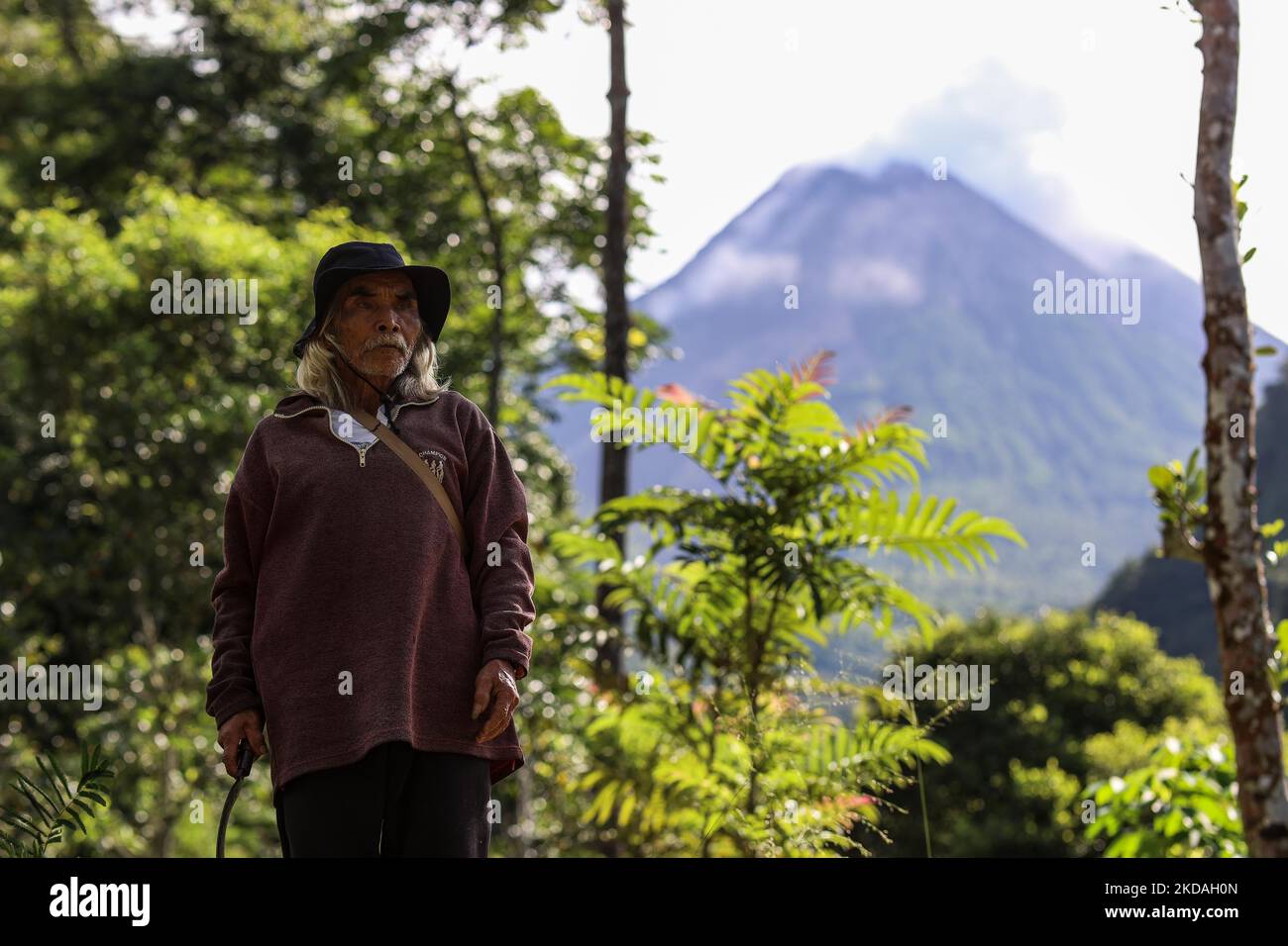 A farmer stand after gathers grass to feed livestock as Mount Merapi ...