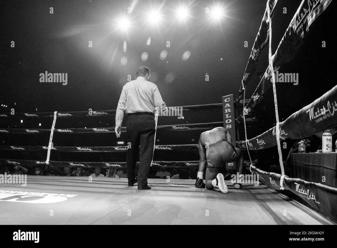 Ronny arana hi-res stock photography and images - Alamy