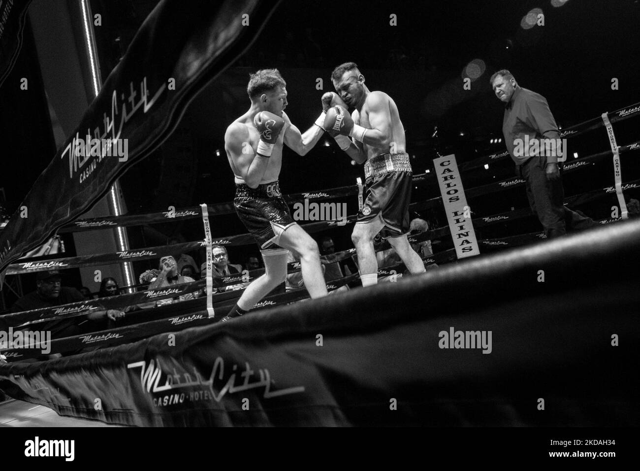 Matthew 13 Black and White Stock Photos & Images - Alamy