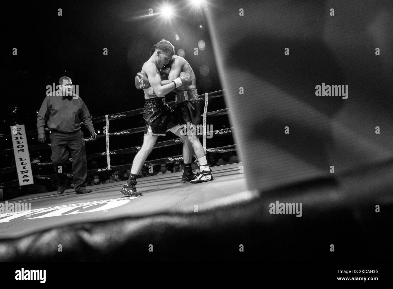 Matthew 13 Black and White Stock Photos & Images - Alamy