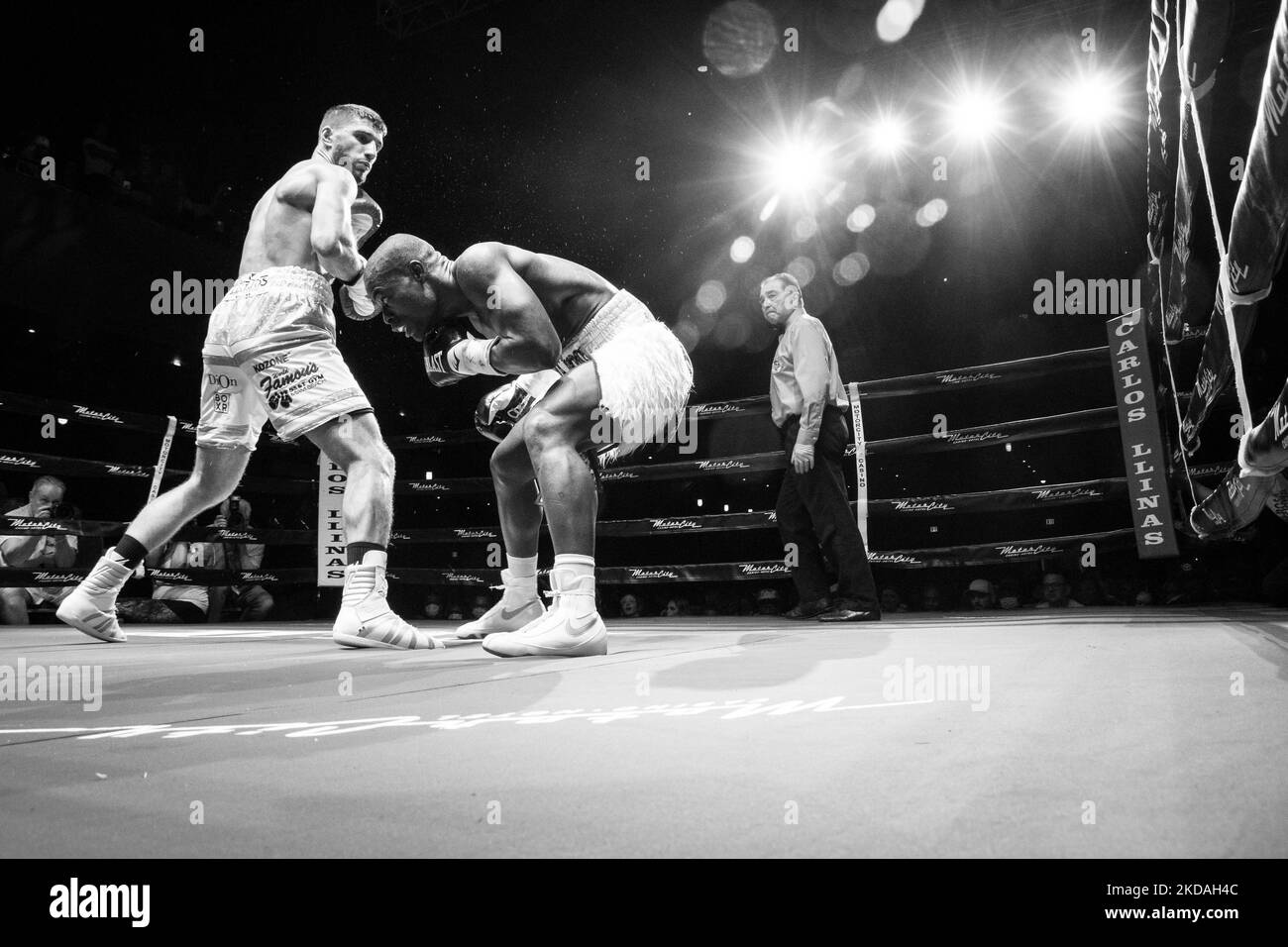 Ermal hadribeaj hi-res stock photography and images - Alamy